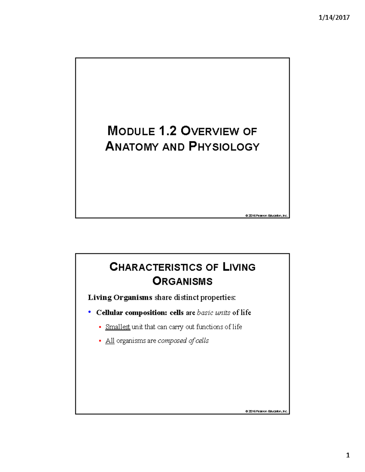Core Principles in Anatomy & Physiology (BIO168) - Final Lecture Notes ...