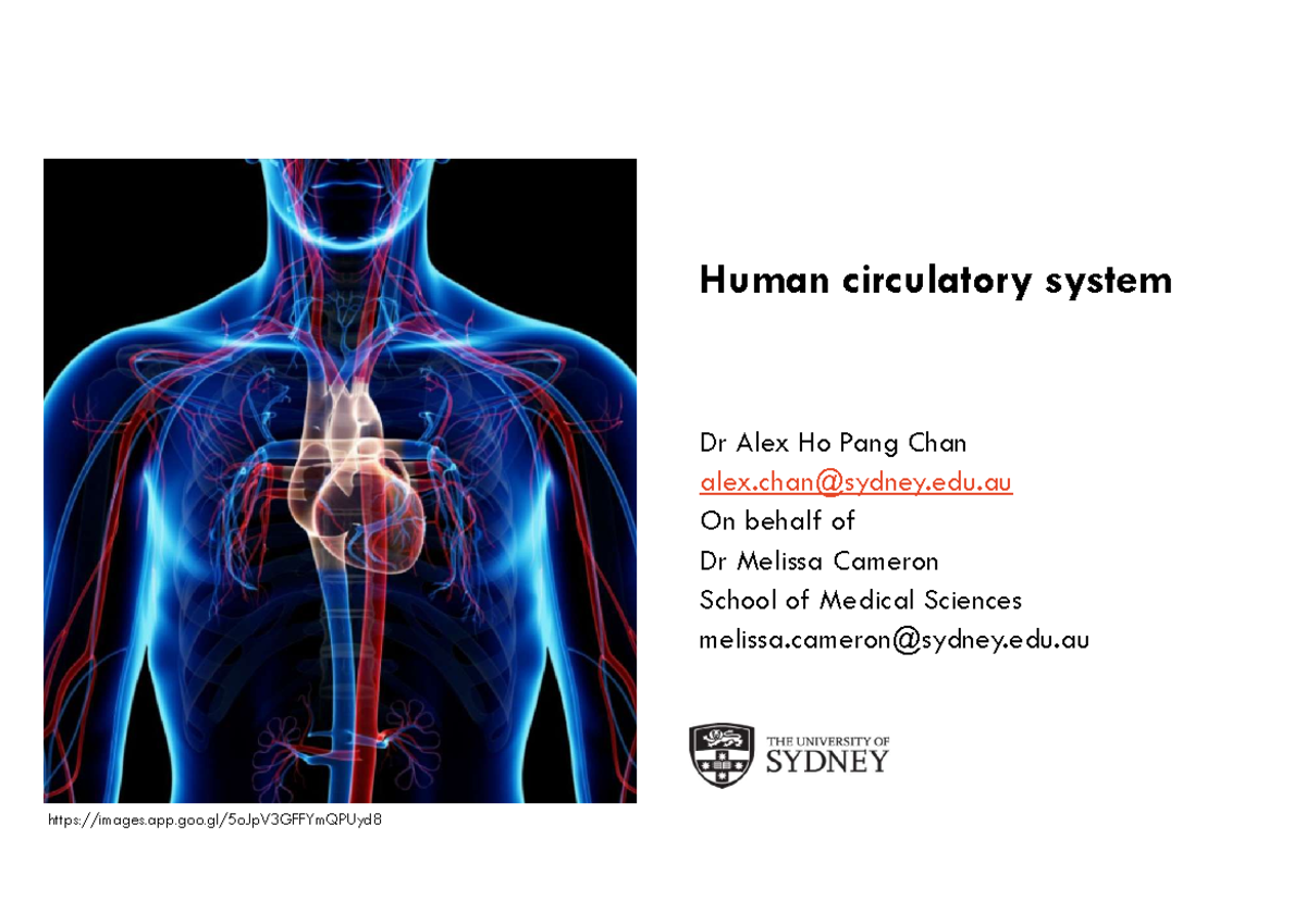 Human Biology Lecture 1: Overview of the Human Circulatory System (2024 ...