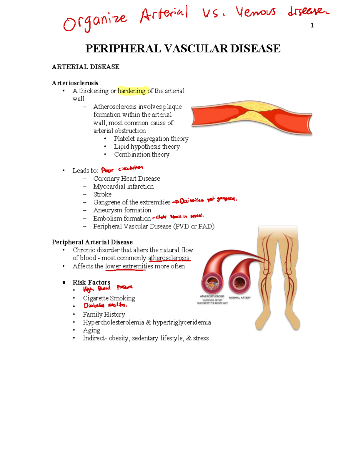 Peripheral Vascular Disease: Arterial vs Venous Insights - Studocu