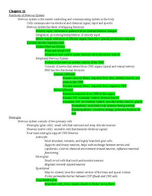 [Solved] Exercise 13 review sheet art labeling activity 2 - Anatomy And ...