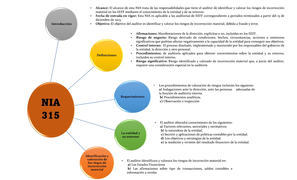 NIA-706 - NIA 706 - 1 NIA 706 (REVISADA) NORMA INTERNACIONAL DE ...