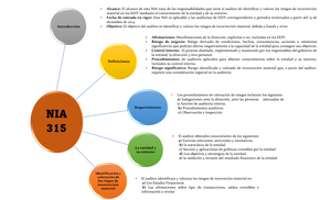NIA-720 - NIA 720 - NORMA INTERNACIONAL DE AUDITORÍA 720 (REVISADA ...