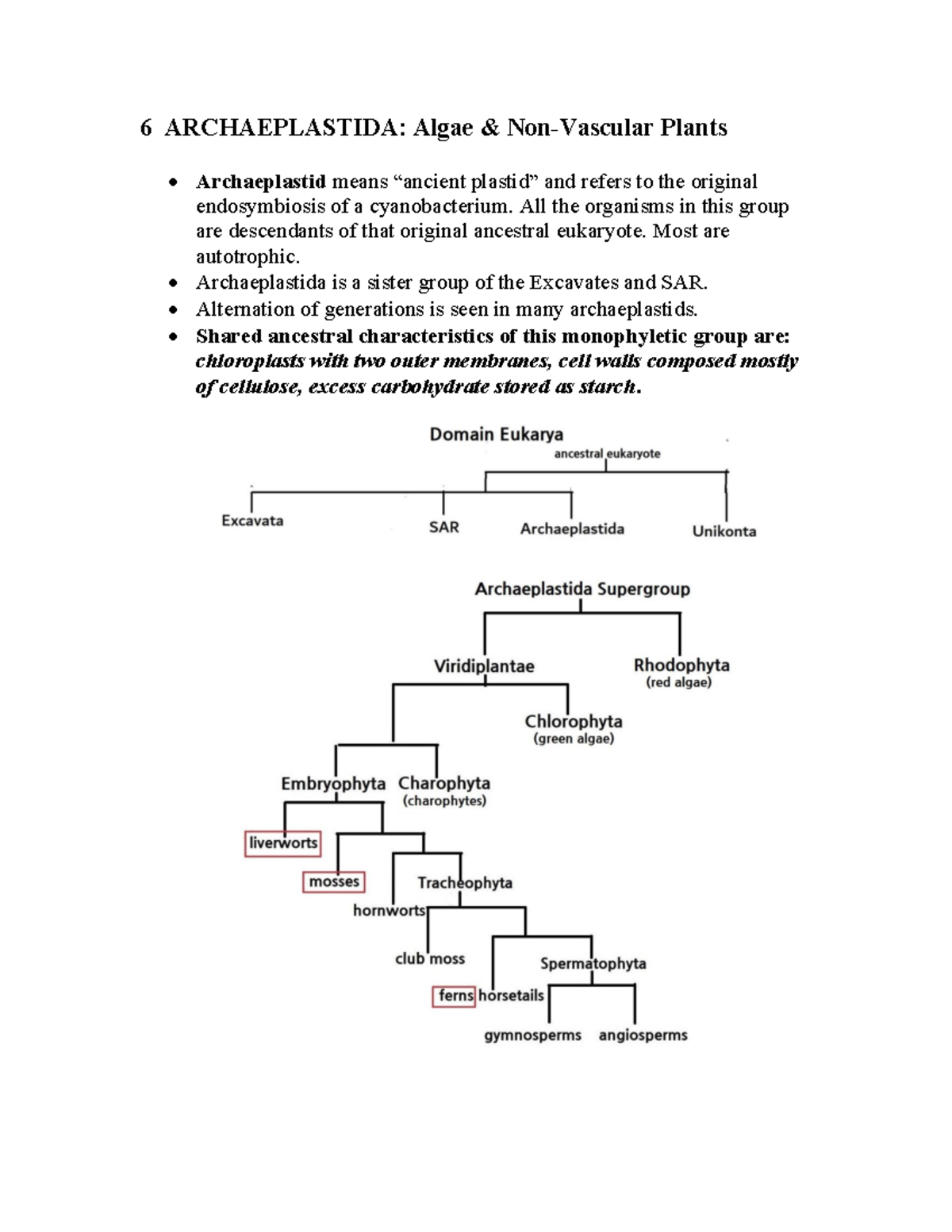 Embryophyta Evolution & Life Cycle: Non-Vascular Plants Overview - Studocu