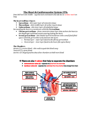 Lab 8 - Learning Outcomes - KIN 260 – Human Anatomy Lab 8 – Urinary ...