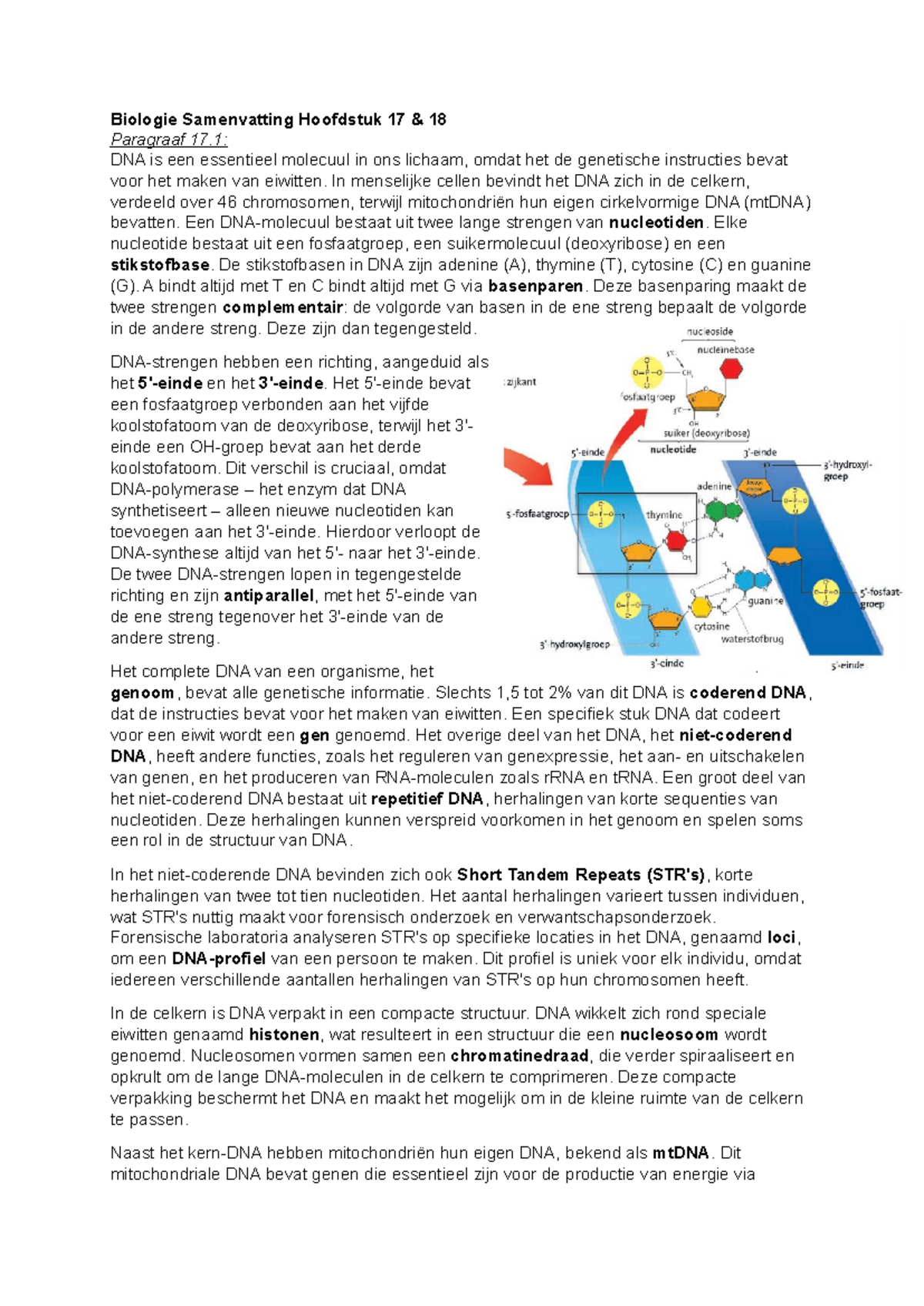 Biologie Samenvatting Hoofdstuk 17 & 18: DNA, Eiwitsynthese en ...