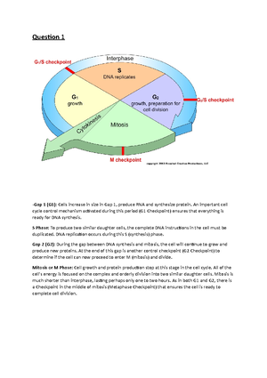[Solved] List 4 main groups of eukaryotes - Life Sciences 141 (LSC141 ...