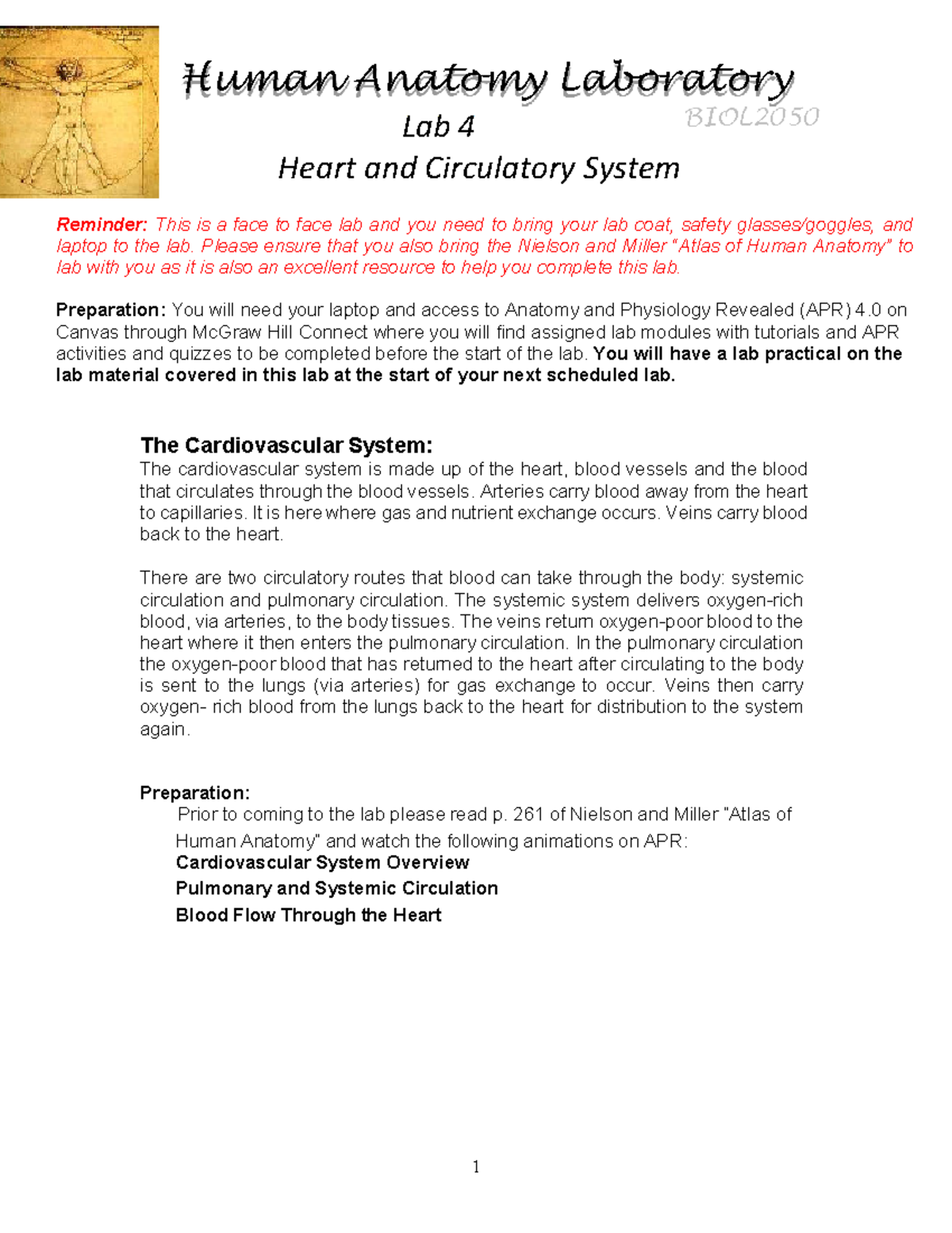 BIOL2050 Lab 4: Heart & Circulatory System Overview - Studocu