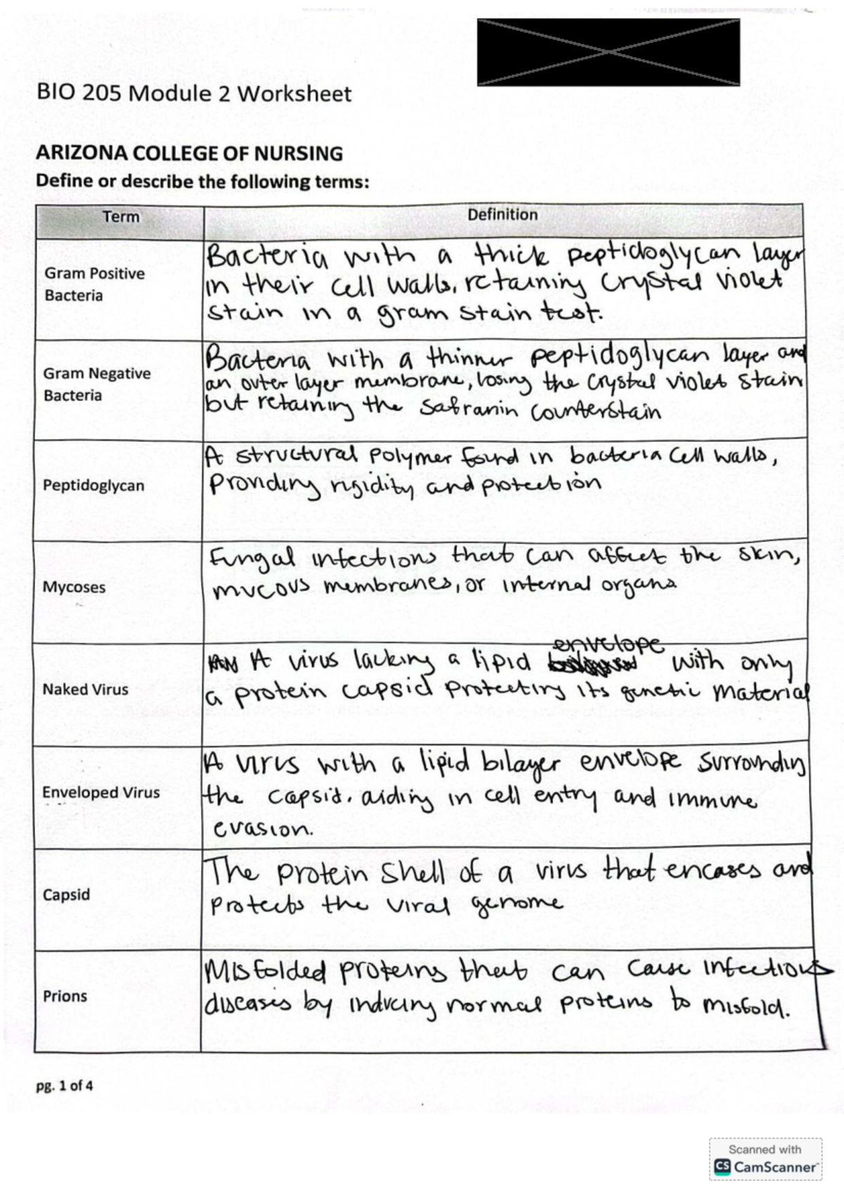 BIO 205 Module 2 Worksheet: Bacterial, Viral, and Prion Diseases ...