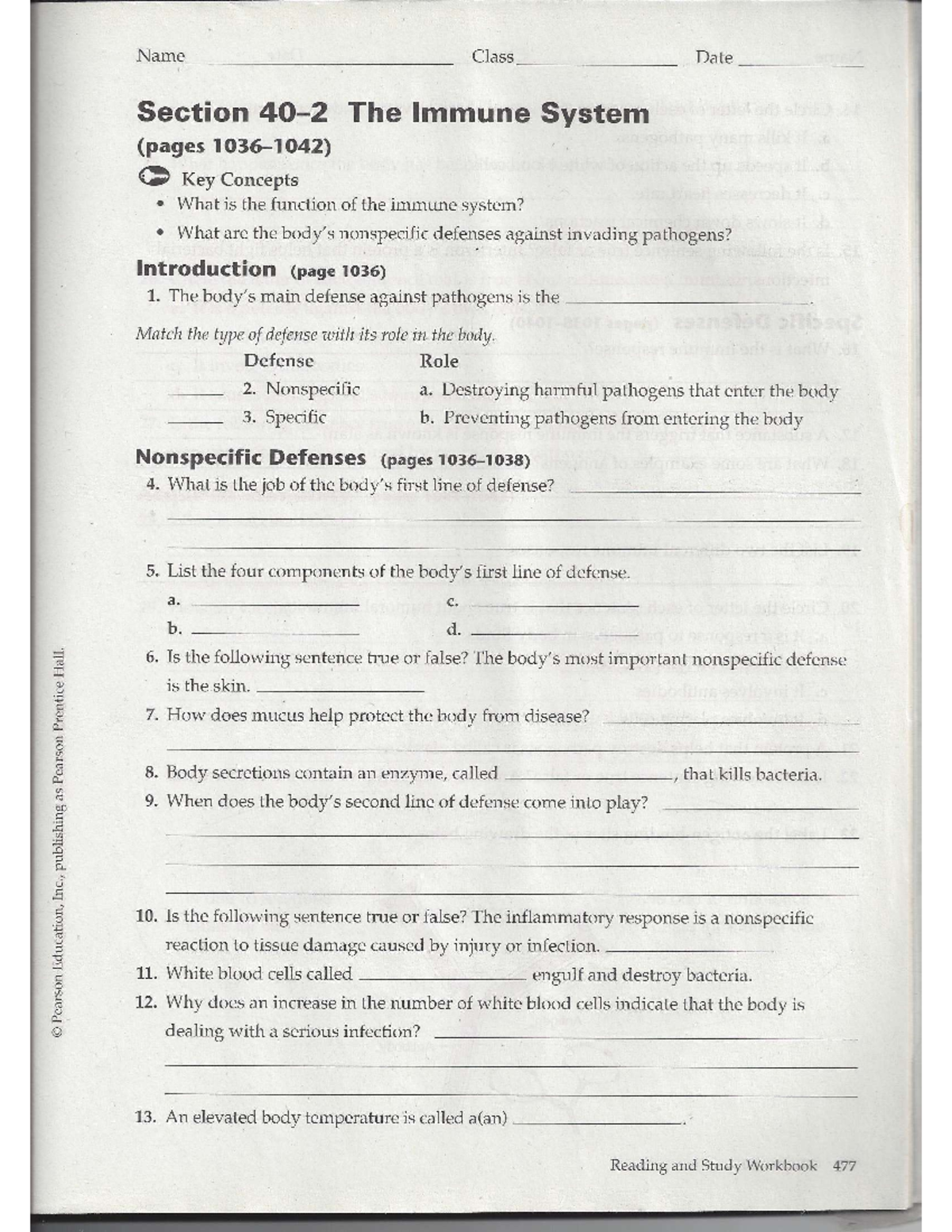 Chapter 40 section 2 worksheet Immune System - Name Class Date Section ...