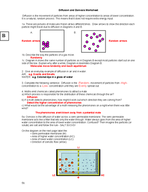 BIO-215L-Antimicrobial Lab Worksheet - Antimicrobial Lab Worksheet Data ...