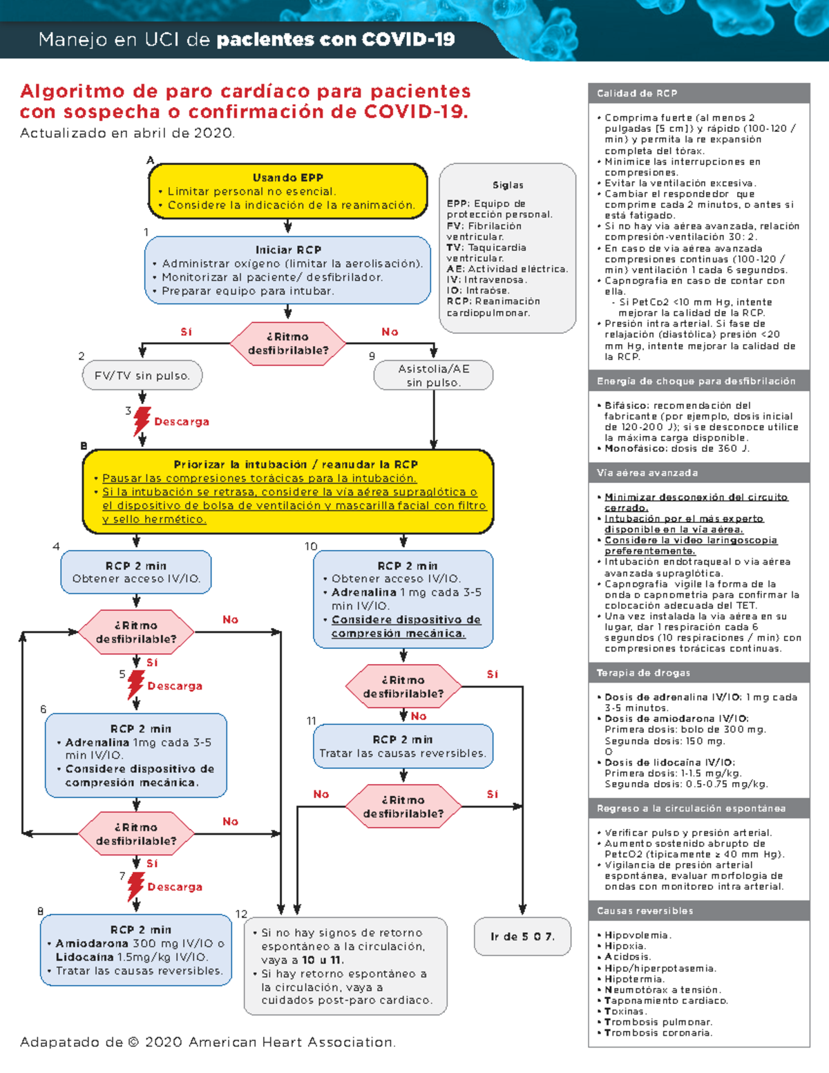 Algoritmo RCP - enfermeria basica - Manejo en UCI de pacientes con ...
