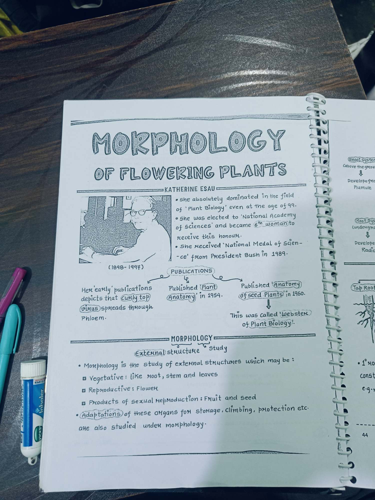 Morphology of Flowering Plants: Shoot and Root Systems (Botany) - Studocu