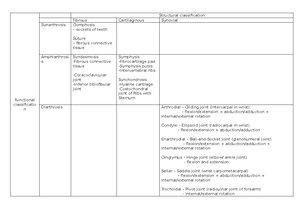 Anatomy - Dermatomes - Back Front C4 C4 C5 T3 C5 T3 T2 T2 T1 Dermatomes ...