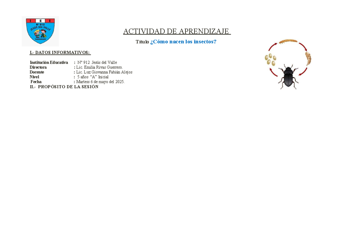 ACTIVIDAD DE APRENDIZAJE: Insectos y su Ciclo de Vida - 5 Años Inicial ...