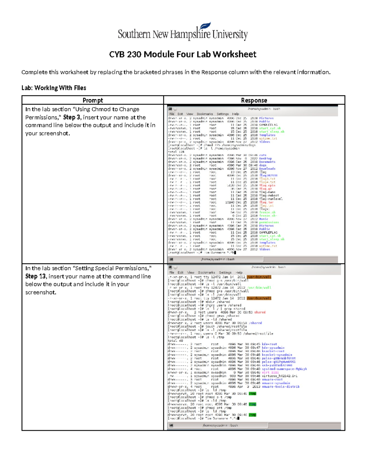 CYB 230 Module 4 Lab Worksheet: Working with File Permissions Tasks ...