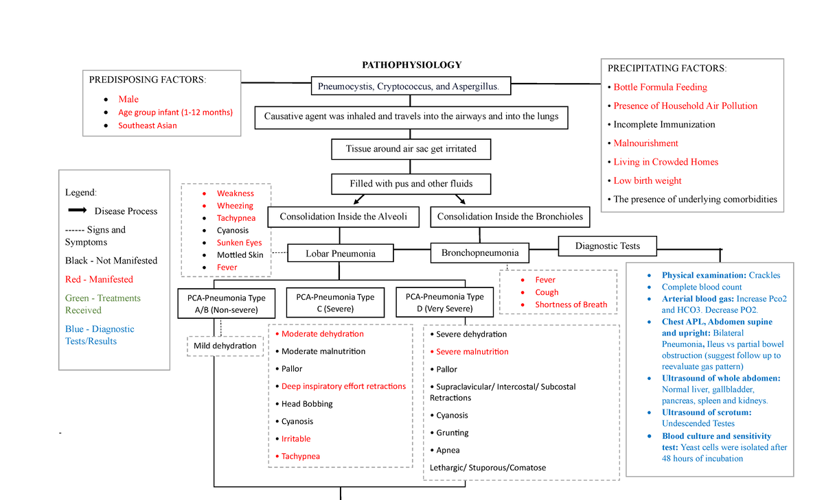 PCAP-C - Comprehensive Guide to Pathophysiology of Pneumonia - Studocu