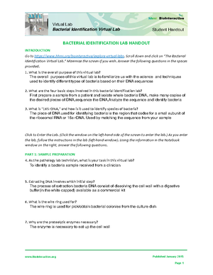 Bergey's Flow Chart - identify the bacteria - Identification flow ...