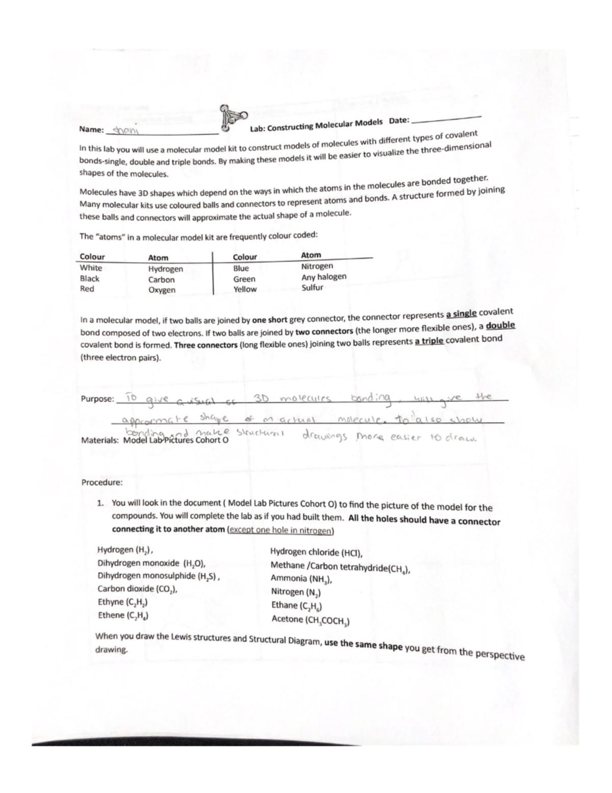 Constructing Molecular Models Lab - Studocu