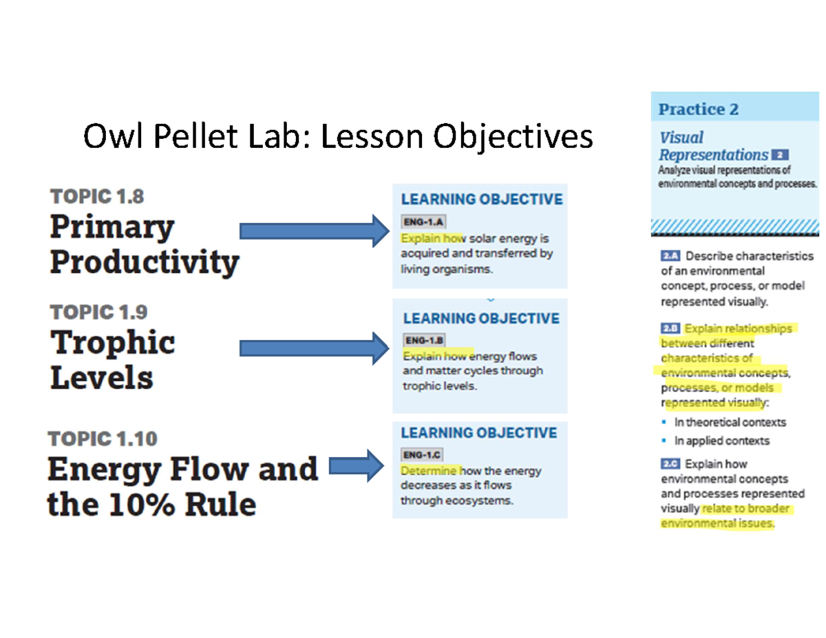 Owl Pellet Lab: Calculations & Analysis for Barn Owl Prey Consumption ...