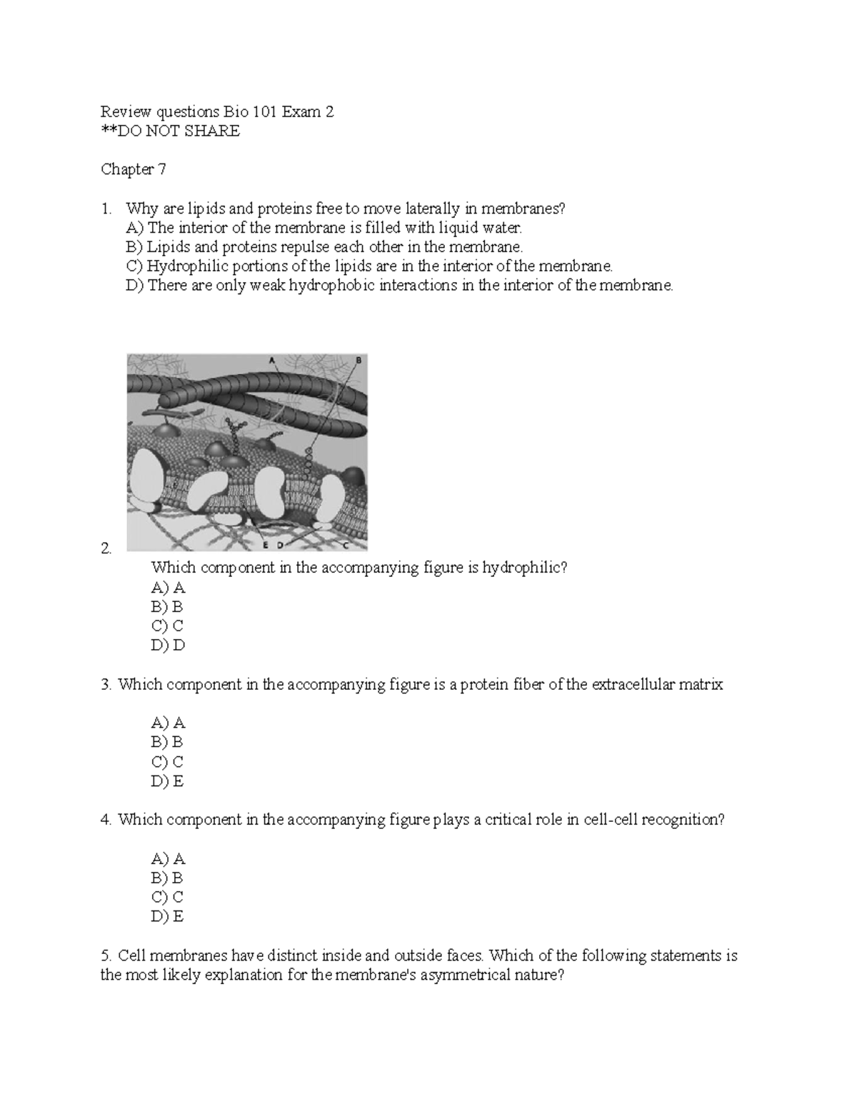 Bio 101 Exam 2 Review[ 31] - Review questions Bio 101 Exam 2 **DO NOT ...