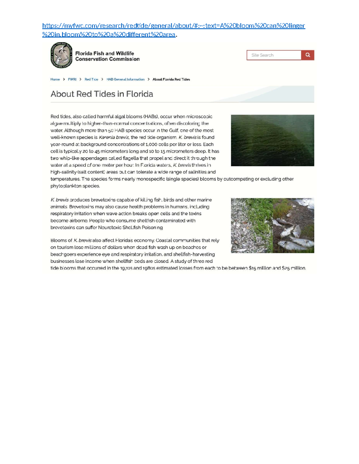 Red Tide Research Overview: Impacts on Marine Life and Economy - Studocu