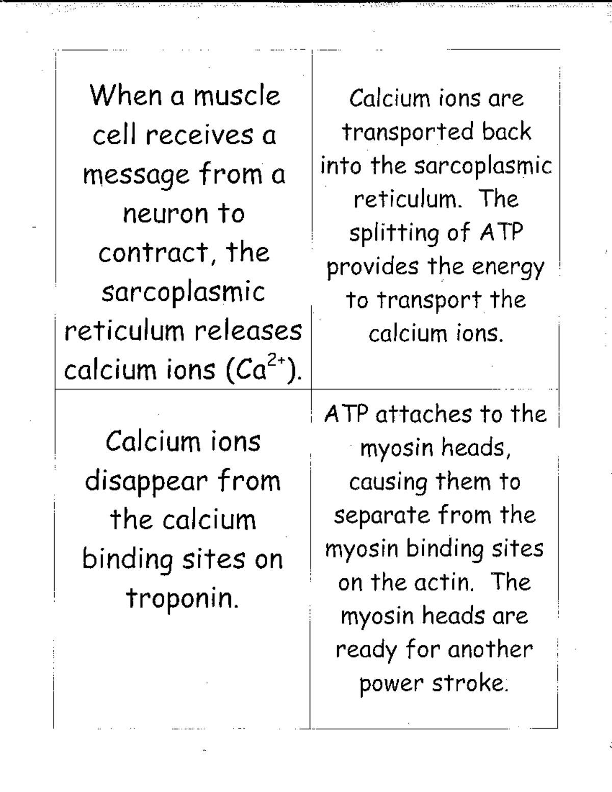 Muscle Contraction: Order of Events in Calcium Ion Transport - Studocu