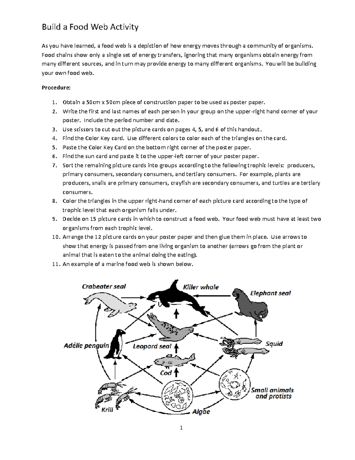 Building a Food Web Activity by Victor Alicea-Mendez - Studocu