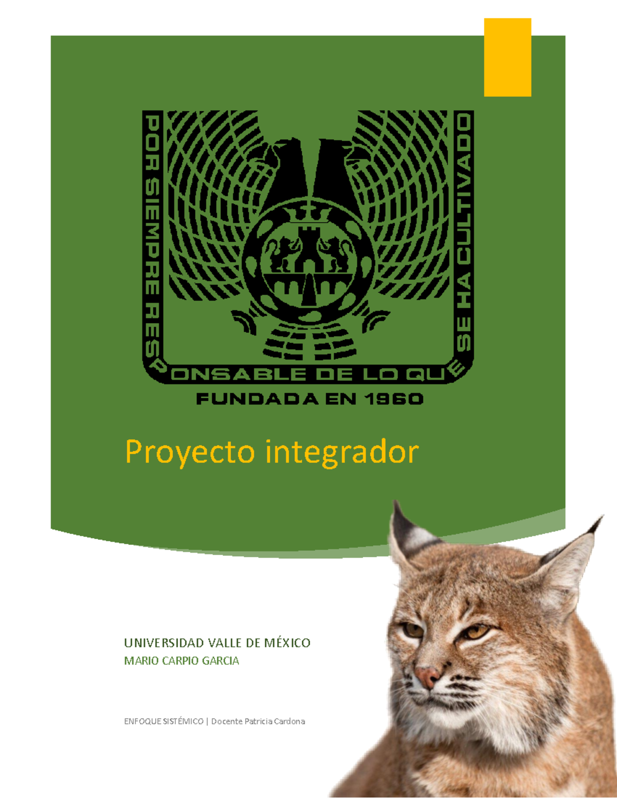 A8 MCG - proyecto final - Proyecto integrador UNIVERSIDAD VALLE DE ...