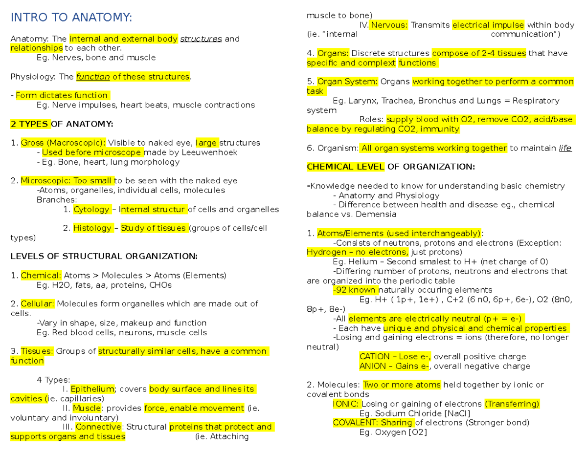 1. Introduction - INTRO TO ANATOMY: Anatomy: The internal and external ...