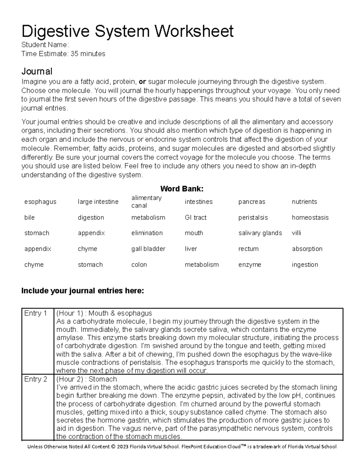 Digestive System Journey: A Creative Worksheet (BIO 101) - Studocu