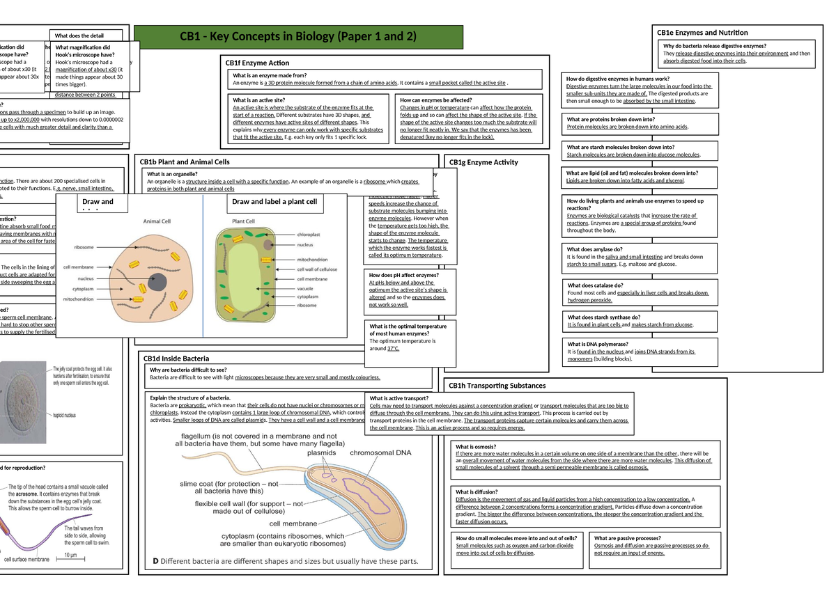 Knowledge Map - CB1 Key Concepts in Biology (Paper 1 & 2) Final Exam ...