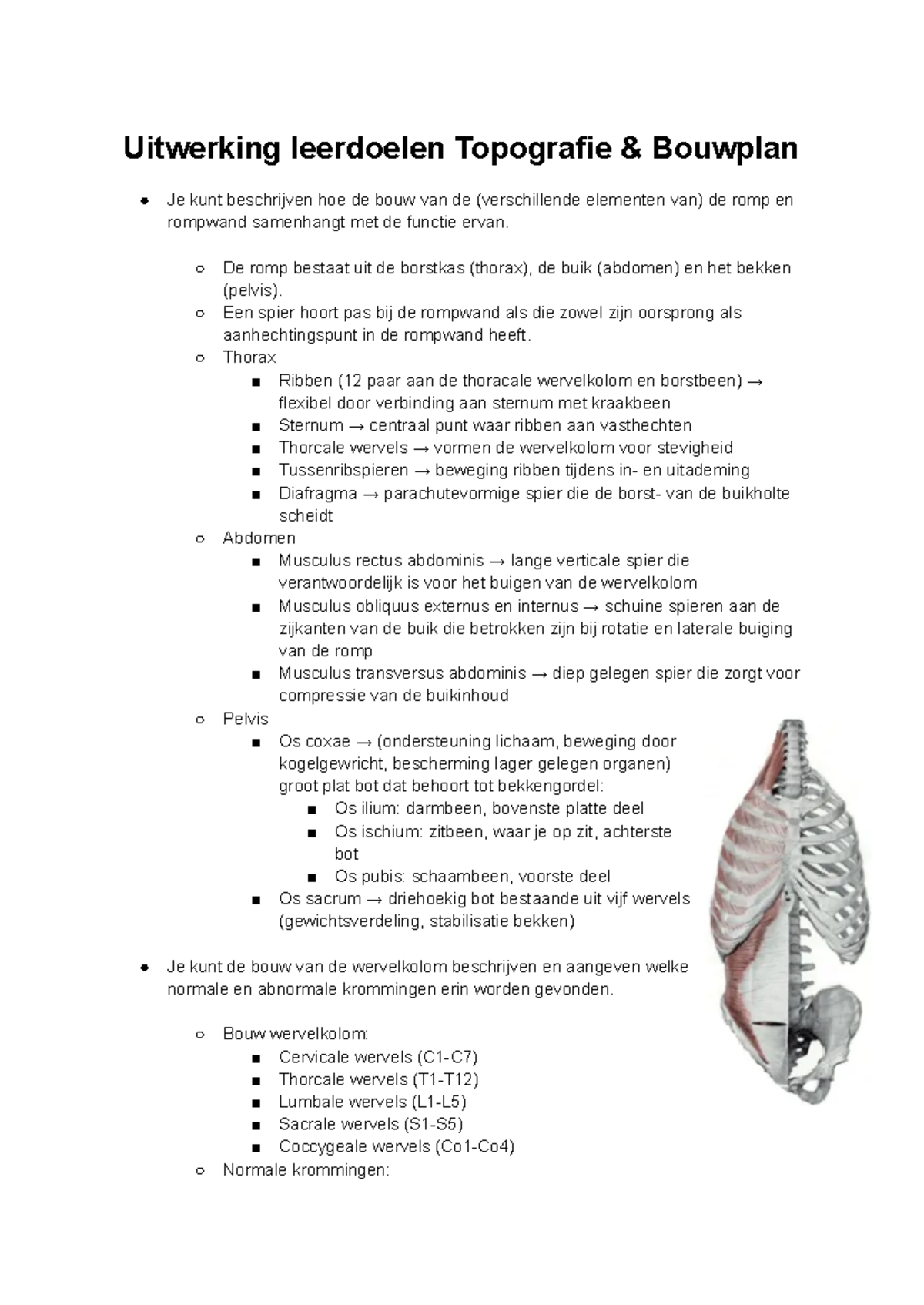 Uitwerking Leerdoelen Topografie en Bouwplan voor Anatomie Studie ...