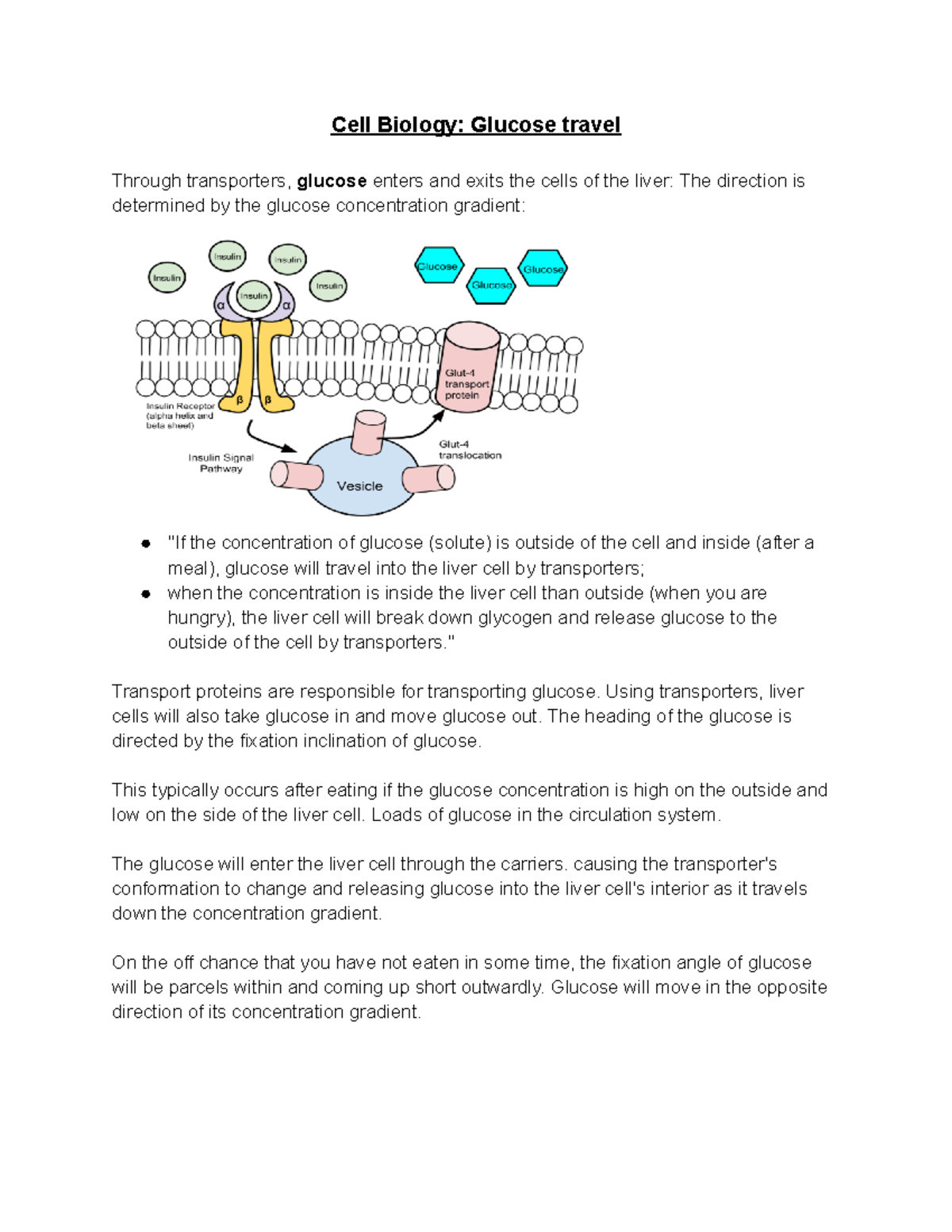 Cell Biology Glucose travel - Cell Biology: Glucose travel Through ...