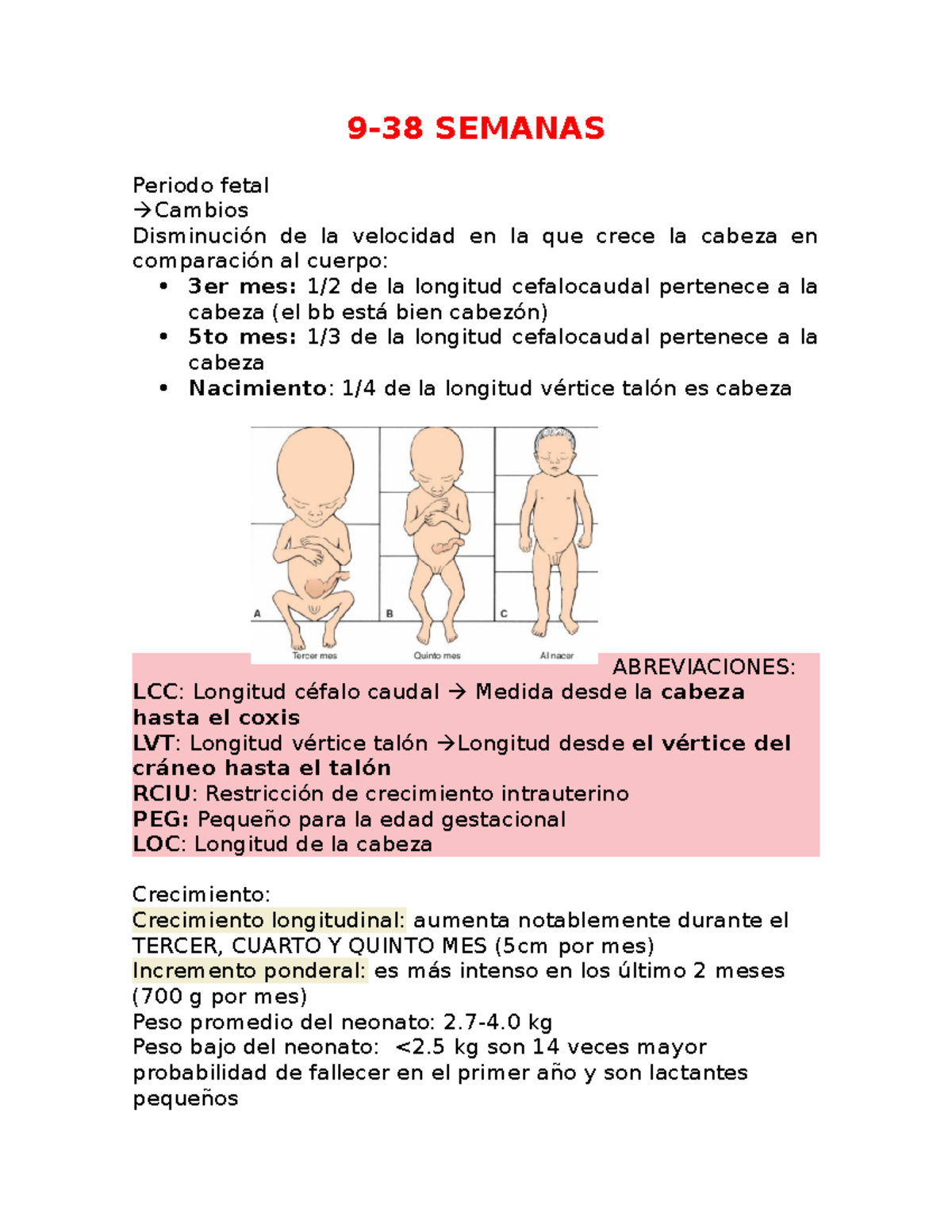 Nacimiento Del Feto A Las 38 Semanas