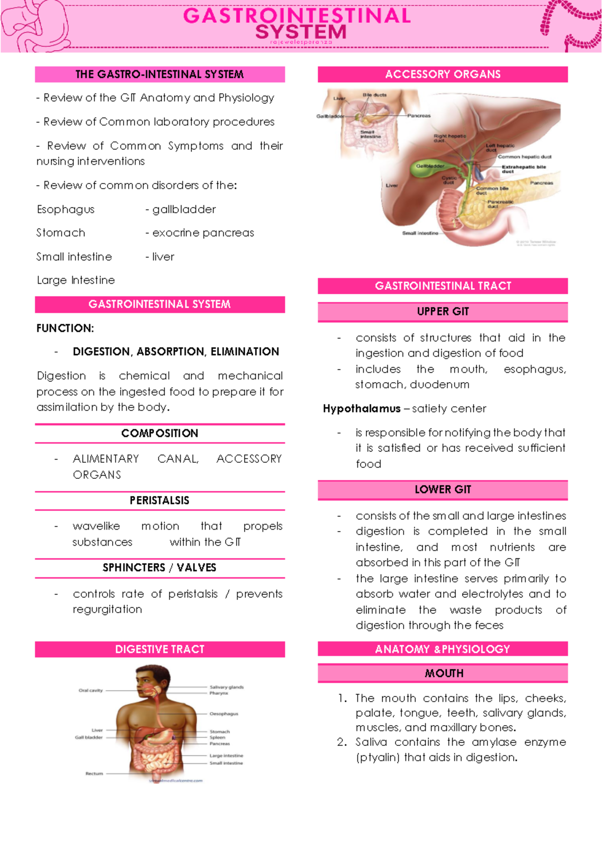 GI Lecture: Anatomy, Physiology, and Nursing Interventions of the GIT ...