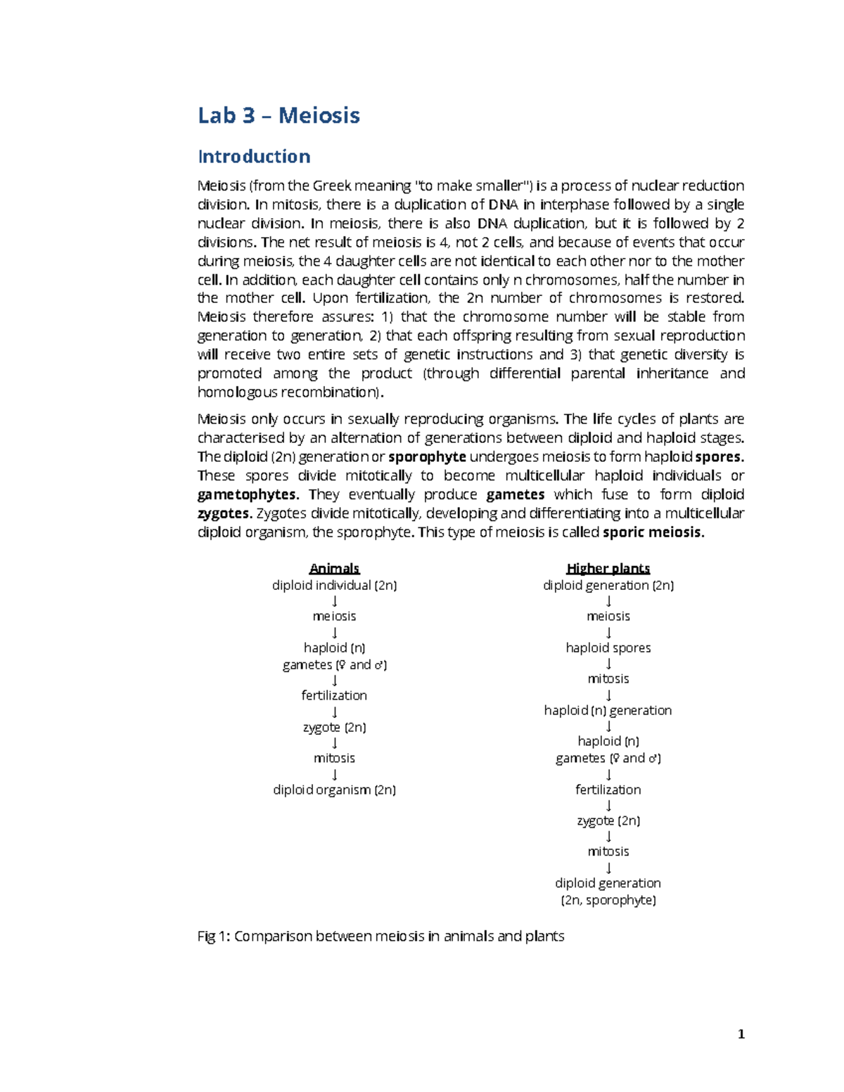 BIO1140 meiosis intro 2023 - Lab 3 – Meiosis Introduction Meiosis (from ...