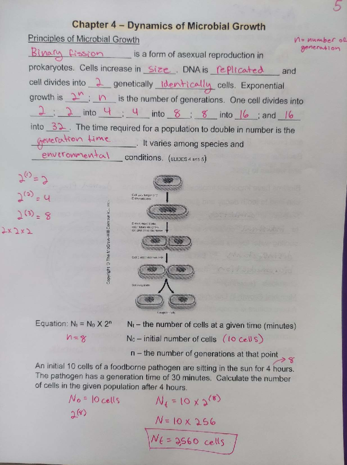 Final Exam Study Guide for ABC123: Microbial Growth Dynamics - Studocu