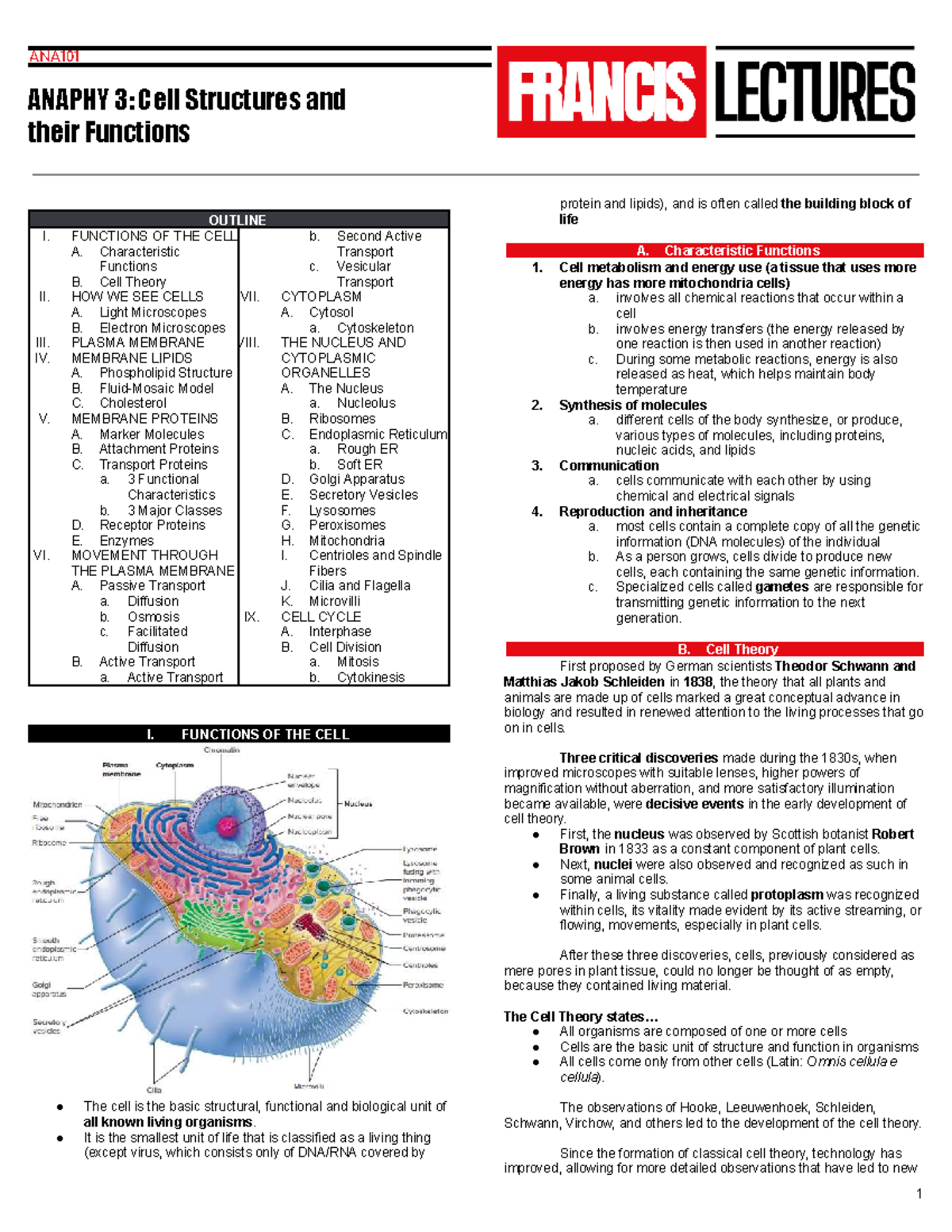 ANA101 ANAPHY 3: Outline of Cell Structures and Functions - Studocu