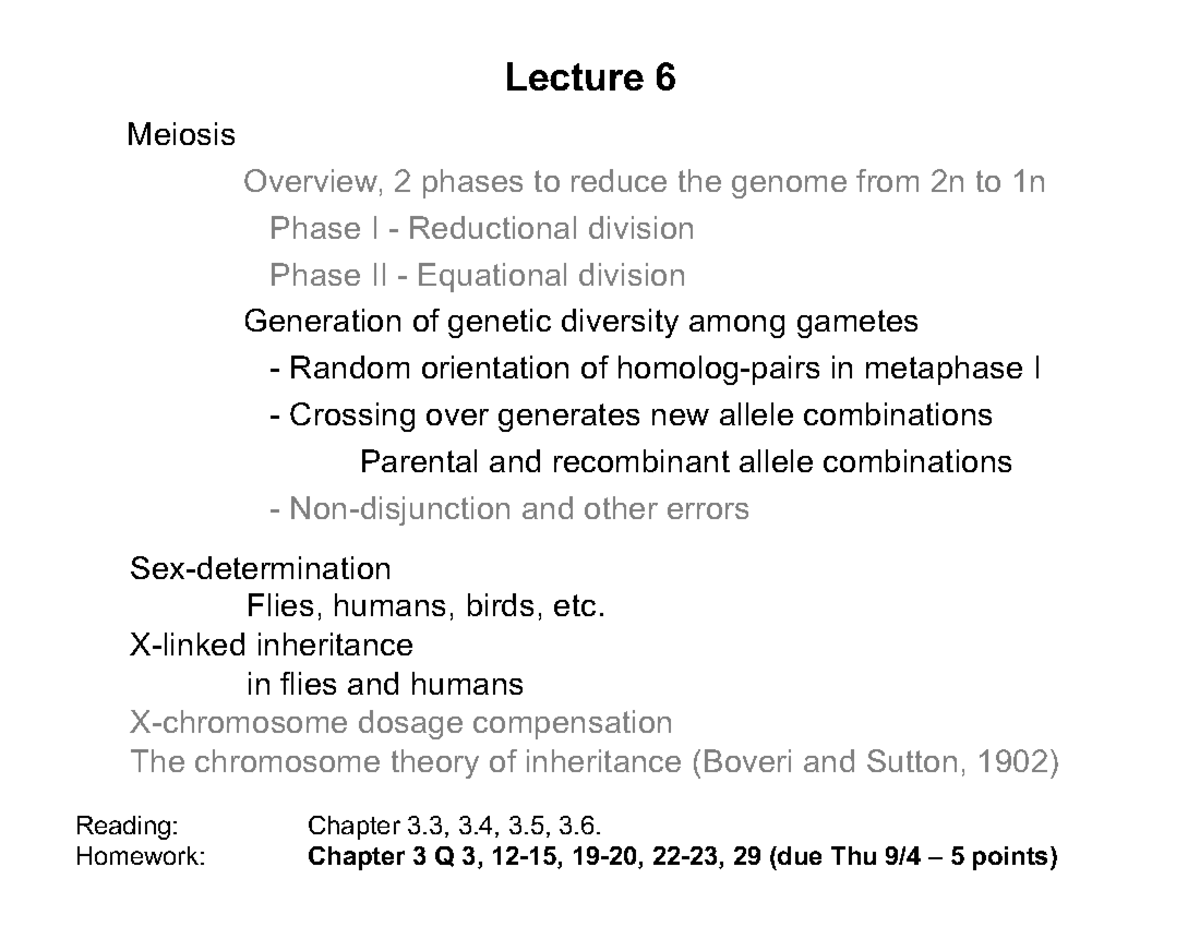 Lecture 6: Meiosis & Genetic Diversity Overview (BIOL101) - Studocu