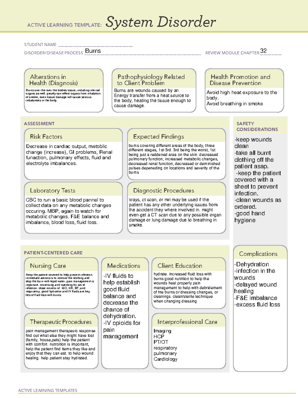 ATI Peds System Disorder: Burns Active Learning Template - Studocu