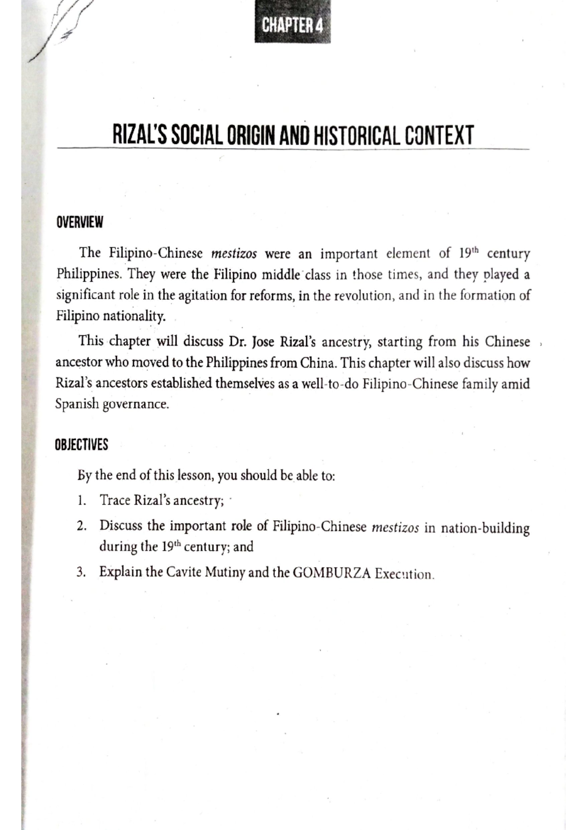 Rizal's Social Origins: The Role of Mestizos in Historical Context ...