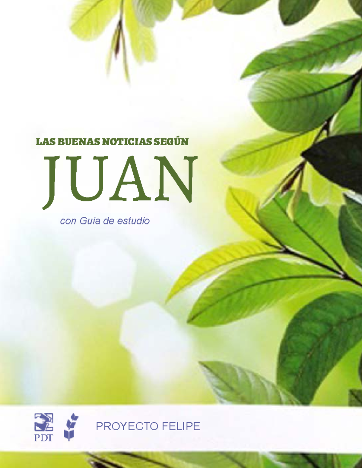 Guía de Estudio del Evangelio de Juan - Proyecto Felipe Final - CONOCER ...