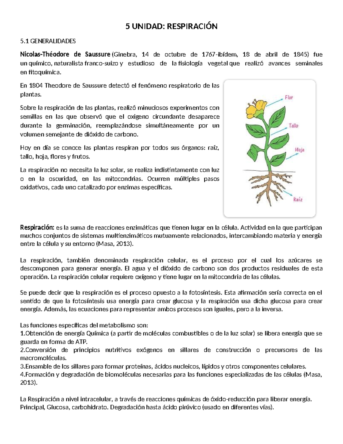 5 Unidad: Respiración en Fisiología Vegetal - Studocu