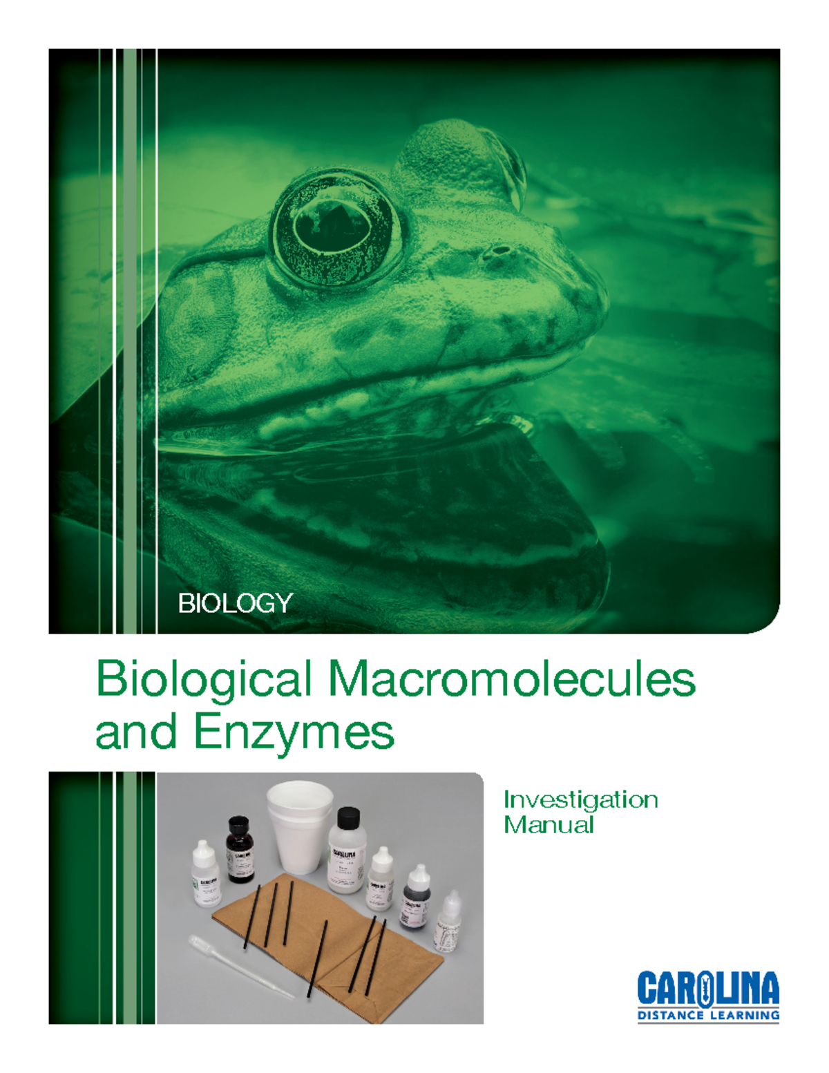 Biological Macromolecules & Enzymes: A Detailed Investigation (BIO 101 ...