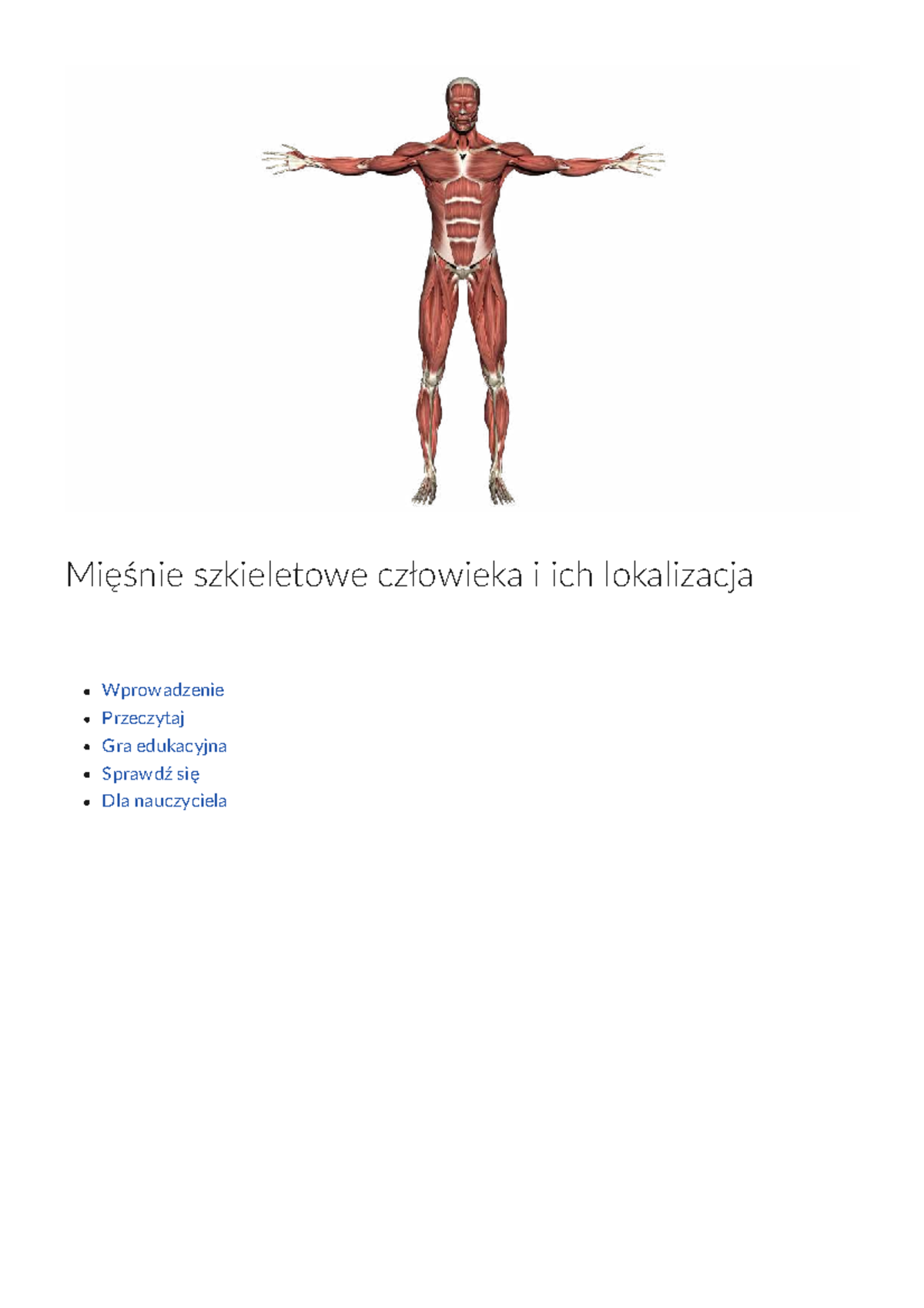Mięśnie szkieletowe człowieka: lokalizacja i funkcje - Wprowadzenie ...