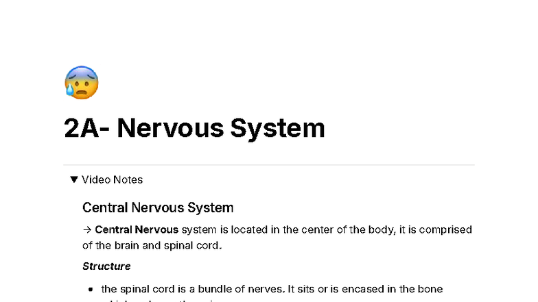 2A - Nervous System Lecture Notes: Central & Peripheral Systems - Studocu