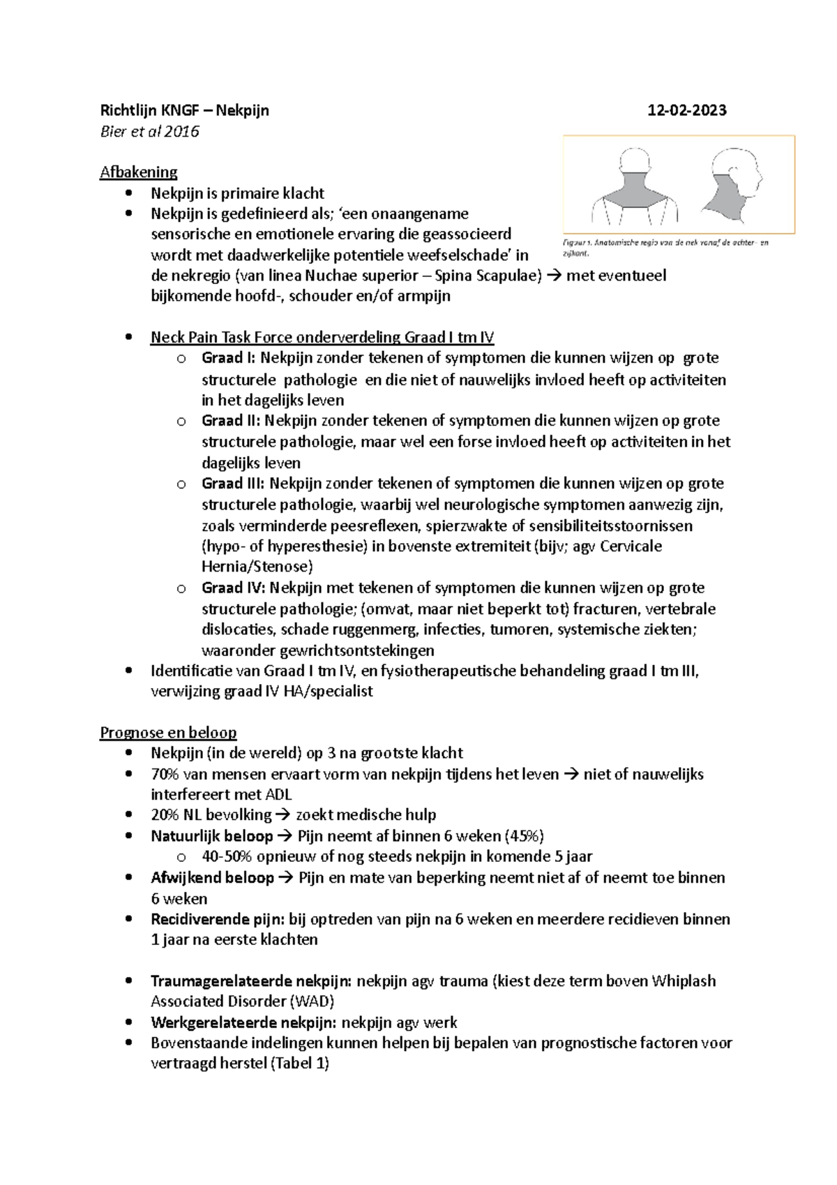 Richtlijn KNGF Nekpijn: Analyse en Behandelingen (Bier, 2016) - Studeersnel