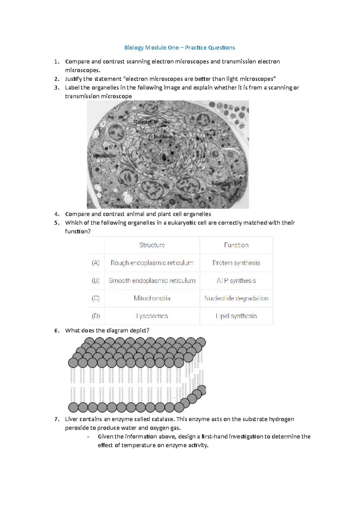 Biology Y11 Module 1: Practice Questions for Preliminary Exam - Studocu