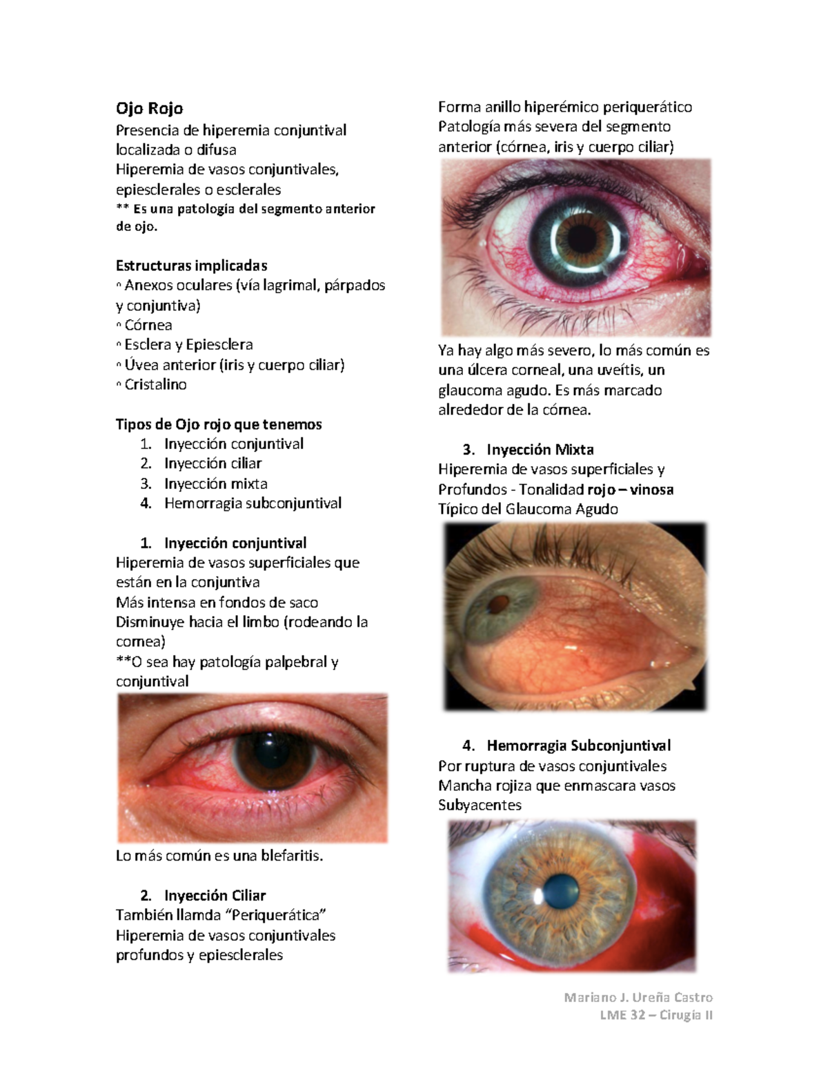 Anatomía De Los Anexos Oculares
