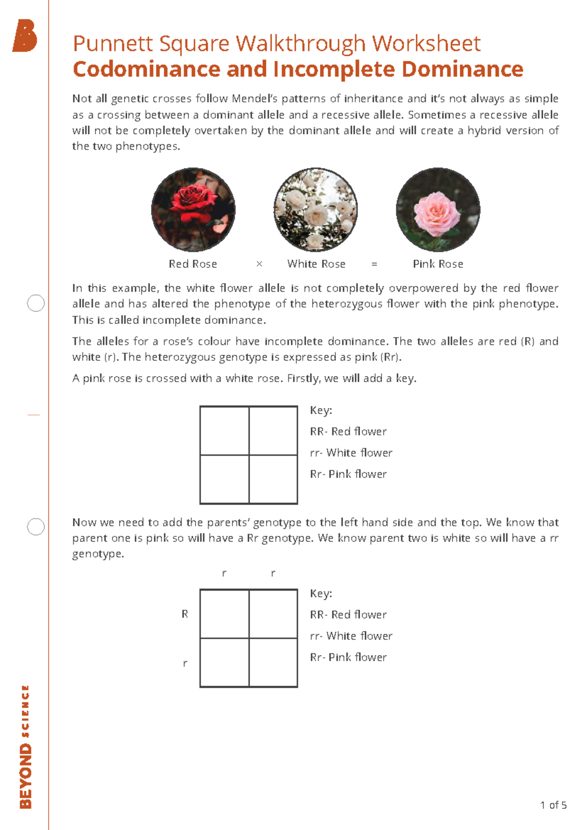 Lesson 2: Punnett Square Guide on Codominance & Incomplete Dominance ...